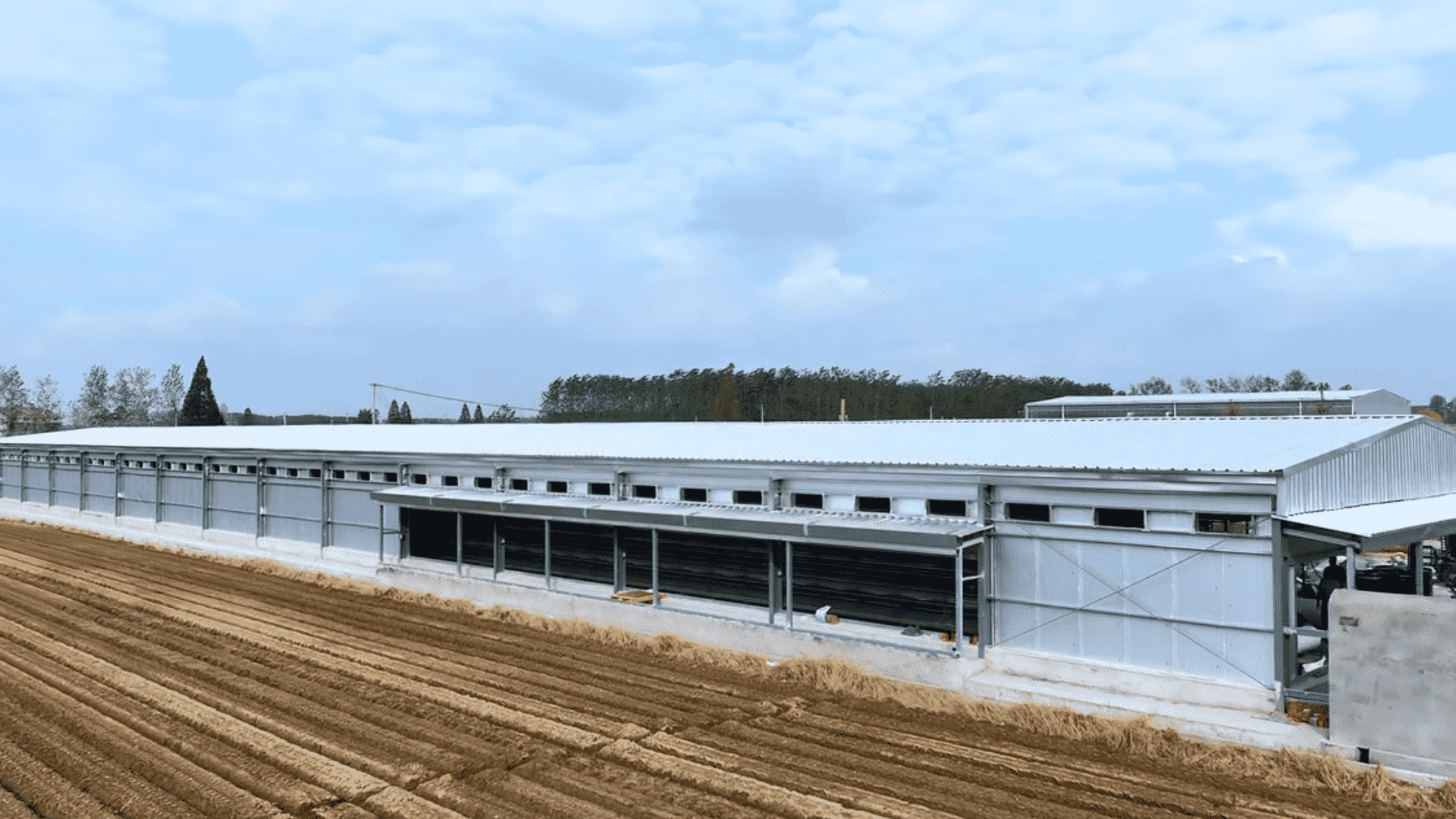 Indonesia | Case Study: Modernized Poultry Farming Project for 50,560 ...